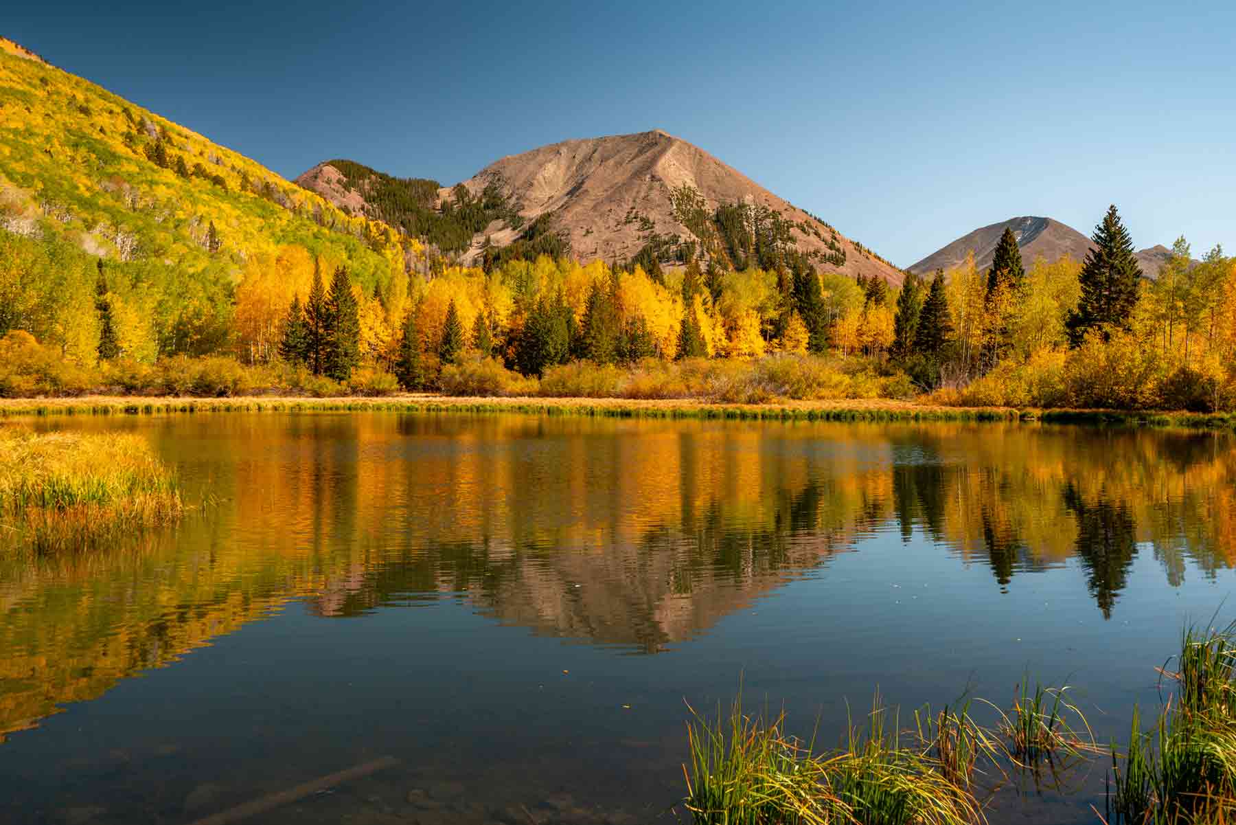 Sanpete County Real Estate » Your Property Pros